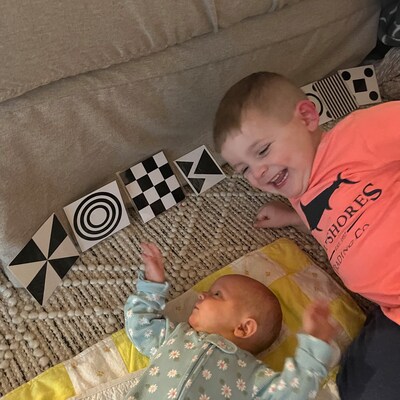 FRUITS Montessori 3-part Cards Multilingual and With Realistic Photos ...