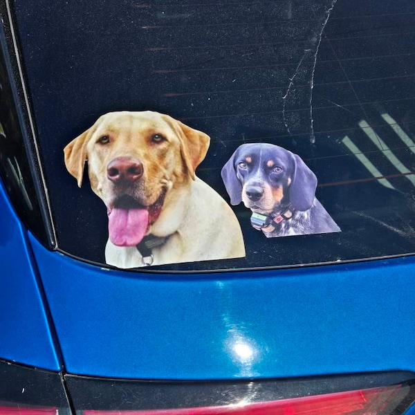 Custom Pet Sticker, Die-cut Dog Decals for Car, Cat Laptop Stickers ...