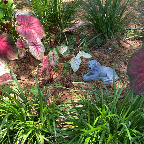 Beagle Statue, Concrete Dog Statues, Garden Decor, Pet Memorial, Garden ...