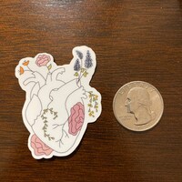 Texas Tech Sticker Tech Stickers Raider Tech Waterproof - Etsy