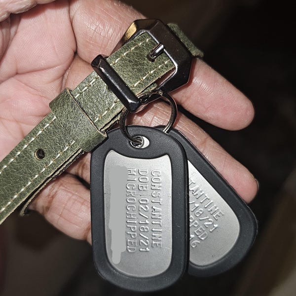 Stainless Steel US Army Dog Tag ID Set, Personalised & Embossed With ...