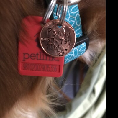 Penny Dog ID Tag Hand Stamped Penny Custom Made Pet ID - Etsy