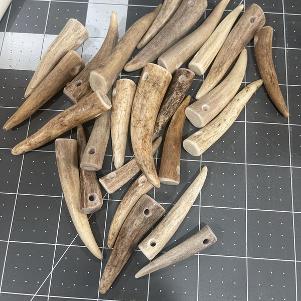 NEW Natural Shed Real Deer Antler Knobs / Pulls Cabinet Dresser Hardware (1 EA) **oregon Antler ...