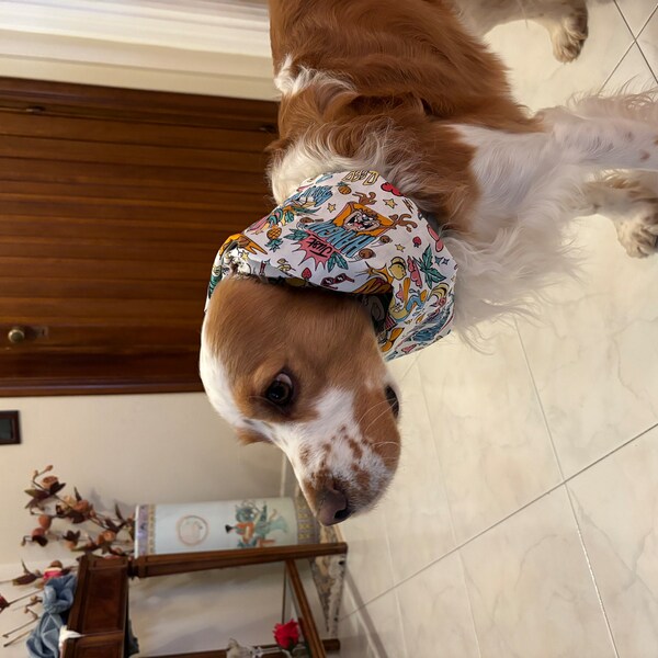 Waterproof Thick Dog Snood , Swimming Cap for Dog , Dog Hat for Snow - Etsy