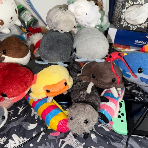 Panda King Isopod Plushie (imperfect) - Etsy