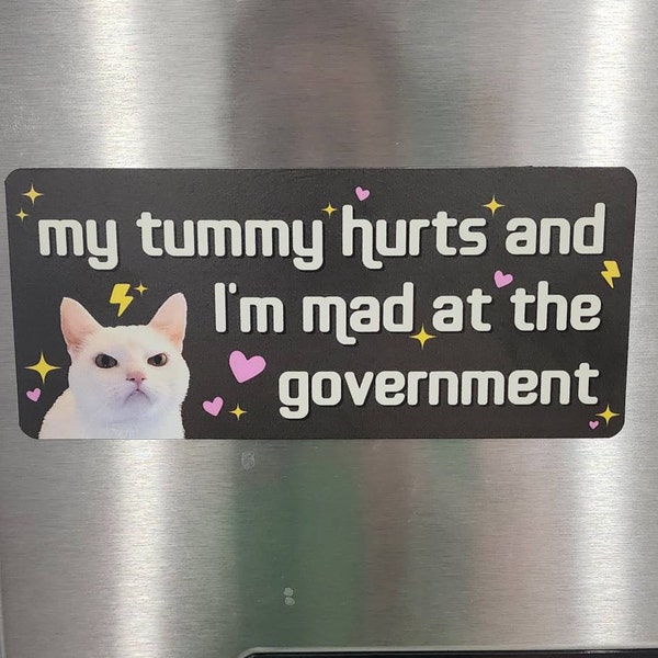 My Tummy Hurts and I’m Mad at the Government 7" Bumper Sticker or ...