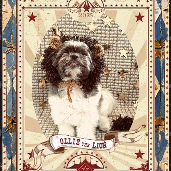 Baby Lion Hat & Tail, Lion Costume, Leo the Lion, King of the Jungle ...