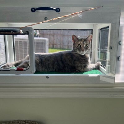 24 Inch Deluxe KP Cat Window Patio-catio-solarium large Deluxe Model - Etsy