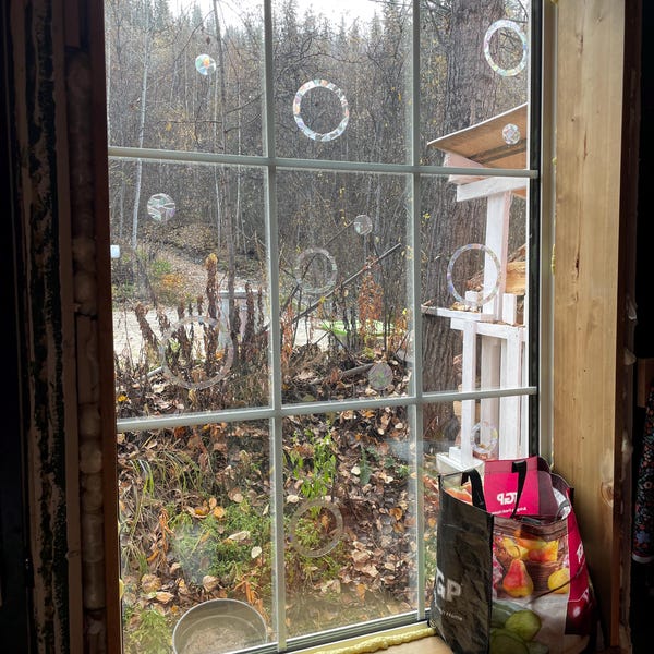 Rainbow Prism Sea Turtle Decals Static Window Clings Alert Birds to ...