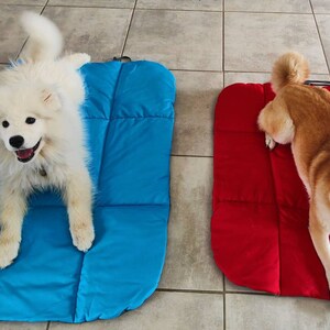 Travel Mat for a Dog, Outdoor Dog Mat, Roll up Dog Mat, Personalized ...