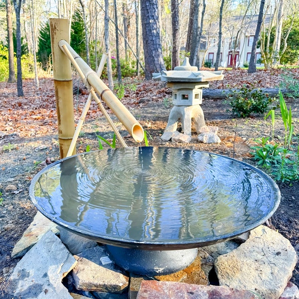 1 Fresh Cut Bamboo Choose From 1 to 8 Feet Long - Etsy