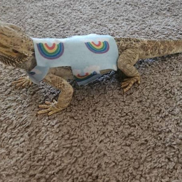 Rat Dress for Rat Crochet Dress for Pet Rat Sweater for Fancy Rat ...