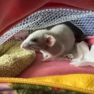 Rat Fall Breaker, Rat Fall Safe, Rat Cage Hammock, Rat Cage, fall ...