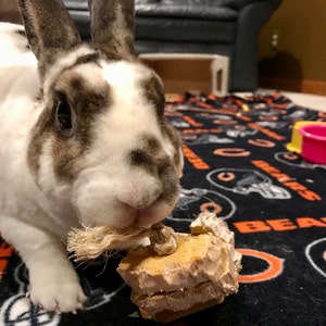 Tiny Flavored Balsa Triangles Pkg of 20 Fruit Flavored Chew | Etsy