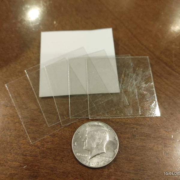 Onycha-operculum Hard Operculum Shells, Sea Shells, Devils Nails ...