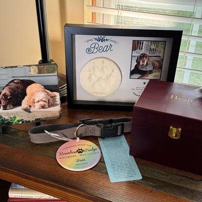 Pet Memorial Paw Print Holder Shadow Box, Two Paw Prints, Pet Loss ...