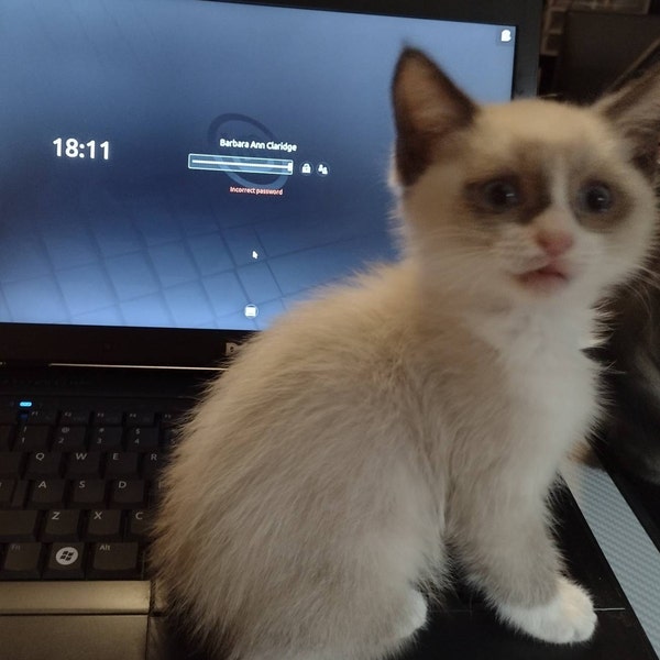 The Codex - A Zine About Linux - Etsy