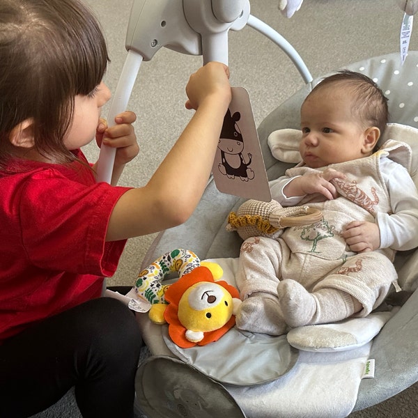 24 Design Baby Sensory Development Flash Cards Object Set High Contrast ...