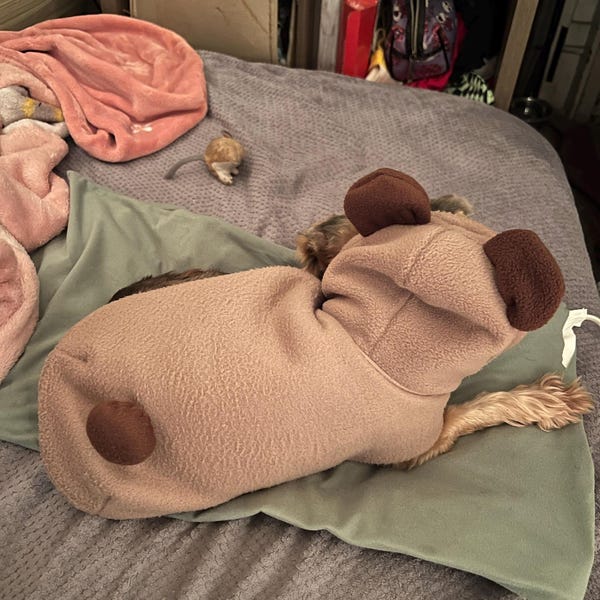 Dog Snuggle Bed Sewing Pattern and Tutorial PDF Dog Sleeping Sack Dog ...