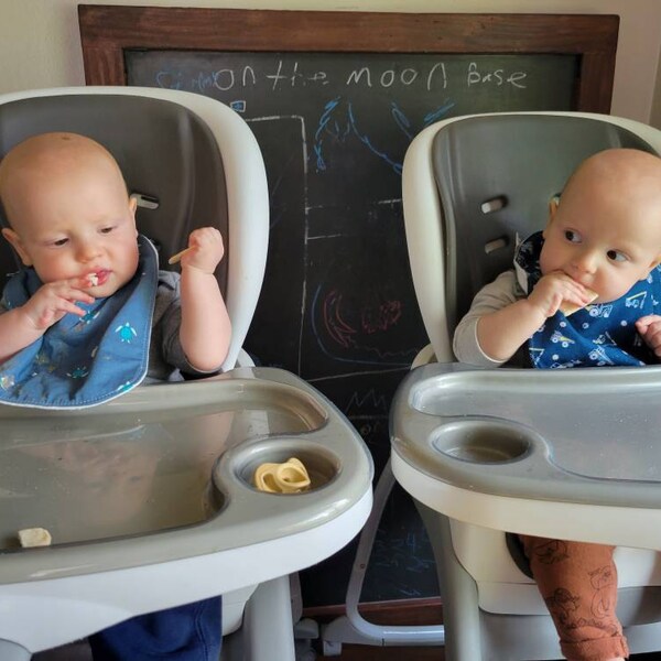 Baby Bibs, Animal Bib, Farm Animal Bib, Cow, Pig, Sheep, Chicken, Goat ...