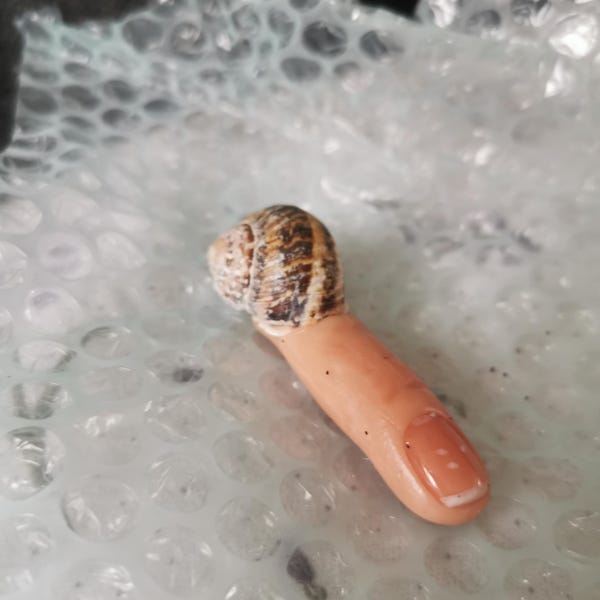Snail Shell Finger Nail Oddity and Curiosity Polymer Clay Sculpture ...