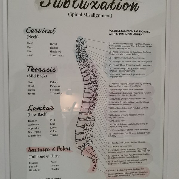 Spinal Nerve Poster ANS Chart, Chiropractor Education, Autonomic ...