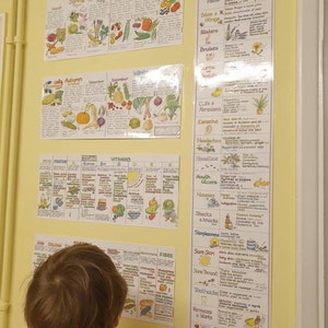 Woman's Healing Herbs Chart by Liz Cook Charts - Etsy