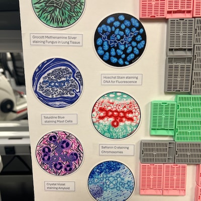 Geology Tool Kit Sticker Pack Vinyl Sticker Geologist Geology Gift ...