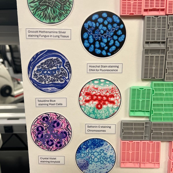 Histology Stain Molecule Sticker Collection - Medical - Science ...