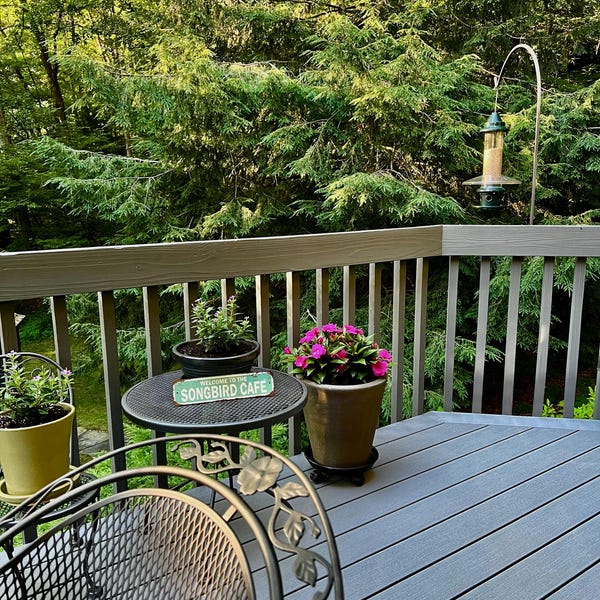 Bird Feeder Sign - Welcome to the Songbird Cafe - Backyard Songbird ...