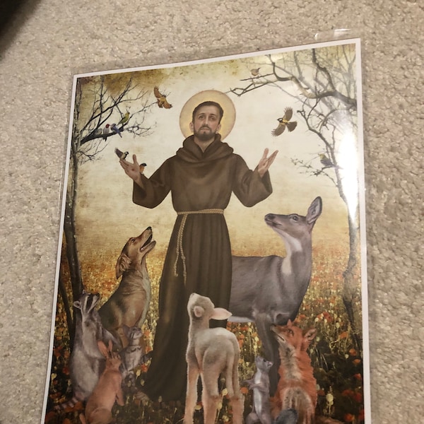 St. Francis of Assisi and Animals Picture, Catholic Patron Saint of ...