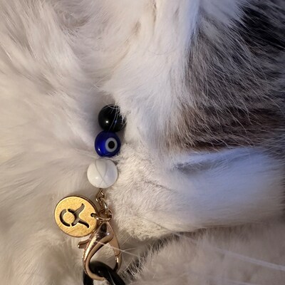 Evil Eye Pet Charm Cute Pet Tag Pet Protection Charm Amethyst Pet Charm ...