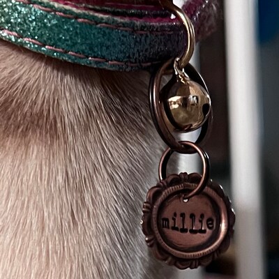 The Emma 007 Bow Pet ID Tag Small Dog Cat Feminine Unique Handstamped ...