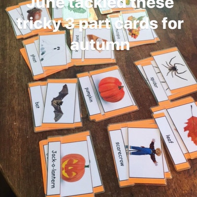 Fruit and Vegetables Safari Toob Montessori 3-part Cards for - Etsy