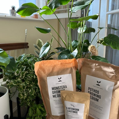 MONSTERA Soil Mix Houseplant Growing Medium 3 LB / 2 Gallon - Etsy