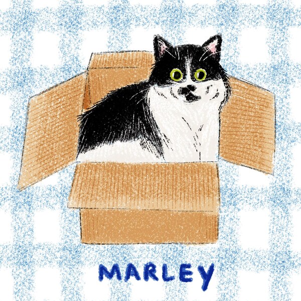 Custom Badly Drawn Pet Portrait, Personalized Cat Portrait, Unique Pet ...