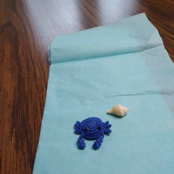 Tiny, Baby Lightning Whelk Bottle - Etsy