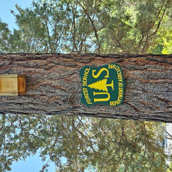 US Forest Service Wood Carved Sign - Etsy