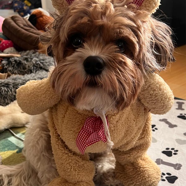 Set of Two Custom Punch Needle Car Coasters, Car Accessories,cold Drink ...