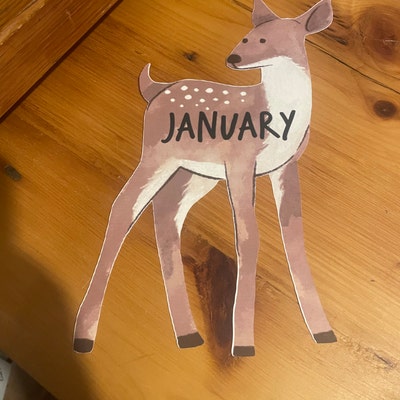 Woodland Birthday Bulletin Board Kit Birthday Display Bulletin Boards ...