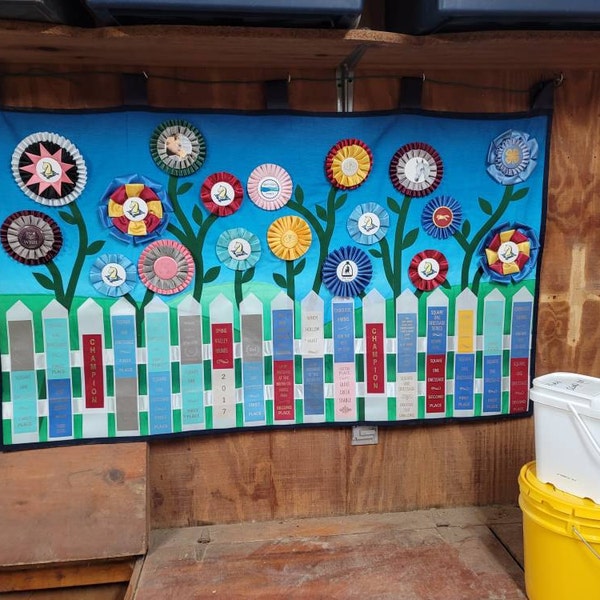 4-H Competition Ribbon Display ***example Only*** - Etsy