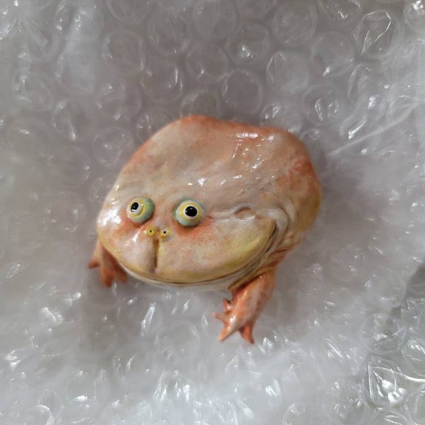 Sad Avocado Realistic Black Rain Frog Friend Deskpal - Etsy Canada