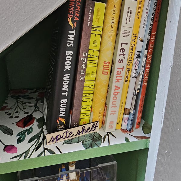 Bookshelf Labels - Shelf Decorations - Repositionable Book Cart Sign ...