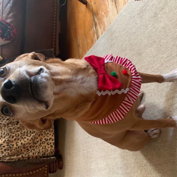 Gingerbread W/ruffles Dog Bandana - Etsy