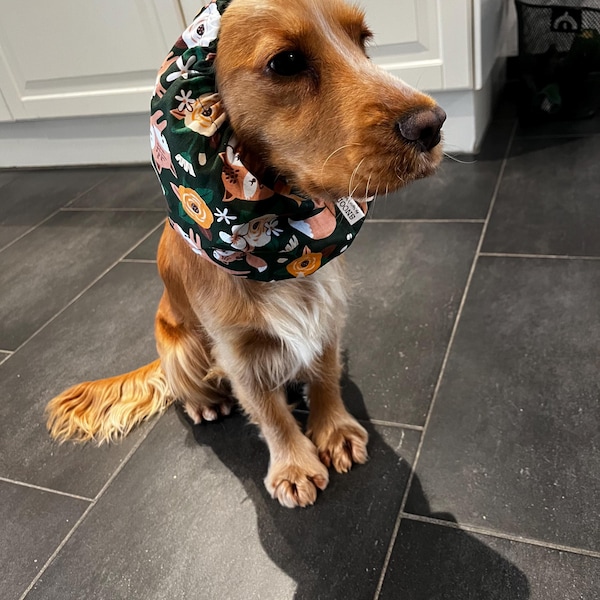 Cotton Snoods - Snoods for Long-eared Dogs - Ear Protector - Dog Snood ...