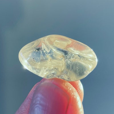 Rare Hemipristis Serra Serrated Shark Tooth Fossil Chalk, Cretaceous ...