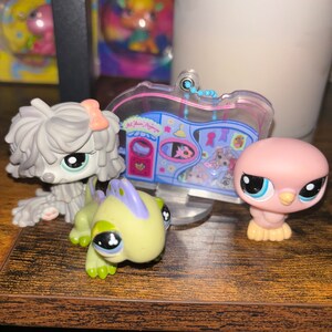 Littlest Pet Shop Authentic LPS Bon Bon Tabby Cat 2406 / Vintage Hasbro ...