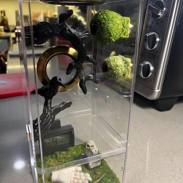 3D Printed Tree Bookshelf Jumping Spider Hide/decor - Etsy