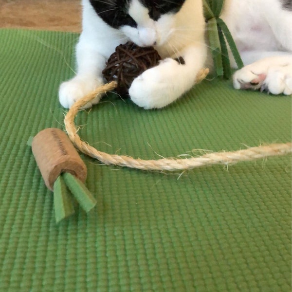 Red Yoga Mat for Cats, Cat Yoga Mat, Scratcher, Lounger, Toy for Cats ...