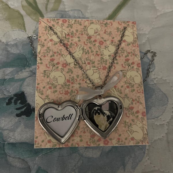Bunny Heart Pedant Locket Necklace Silver Color Coquette - Etsy